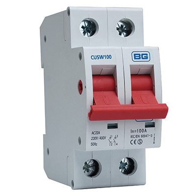 100A Main Switch| Electrical Wholesaler