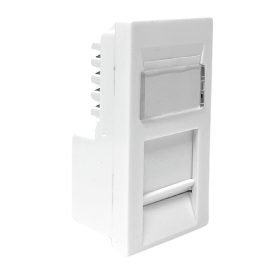 Evoges EVODMCAT6W | White Cat6 RJ45 Network Data Outlet Module ...